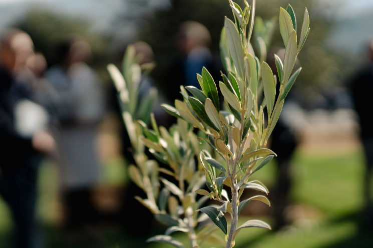 Ο Όμιλος Επιχειρήσεων Σαρακάκη Υπερήφανος Χορηγός του Περιβαλλοντικού ...